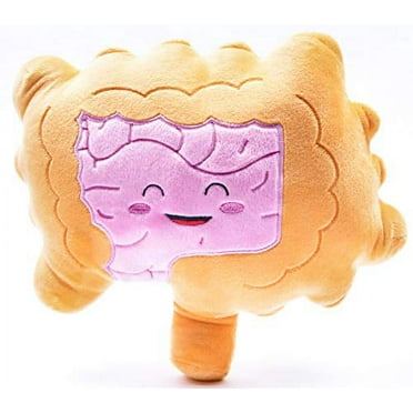 Stomach Plush Organ Toys- I’ve Gut a Good Feeling About This ...