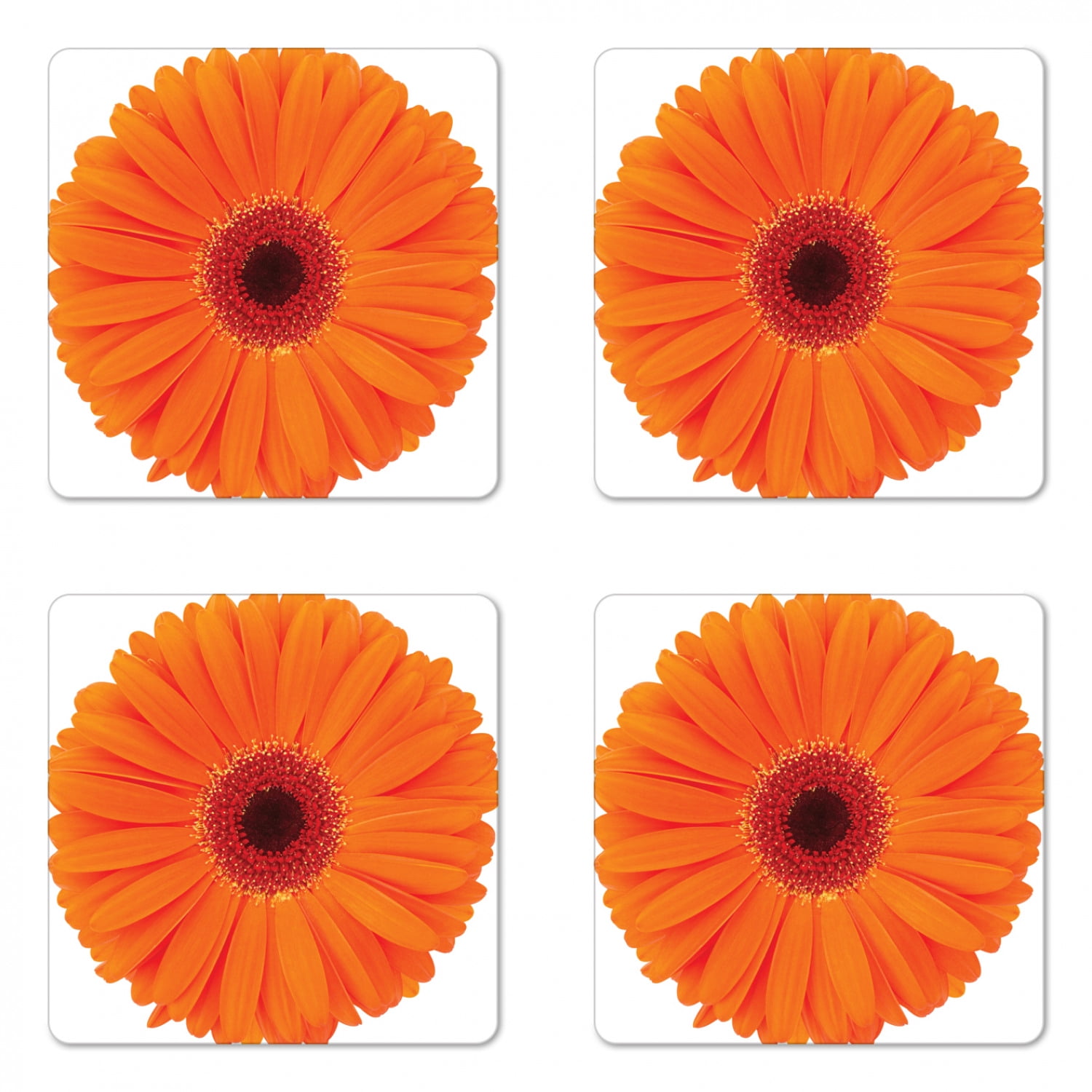 Orange Coaster Set of 4, Flower of Gerbera Vivid Petals Close up Image ...