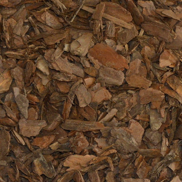 Decorative Pine Bark Nuggets | Shelly Lighting