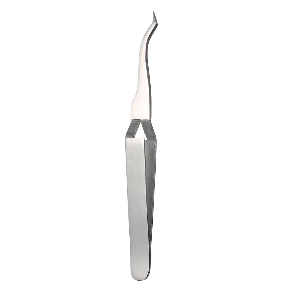 Pinzas de acero inoxidable para tubos bucales - Herramienta profesional ...