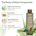 Aloe Vera Shampoo with Organic Aloe Vera Juice – Hydrating & Fortifying ...