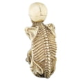 Design Toscano Mr. Bone Jangles Skeleton Sitter Statues: Set of Two ...