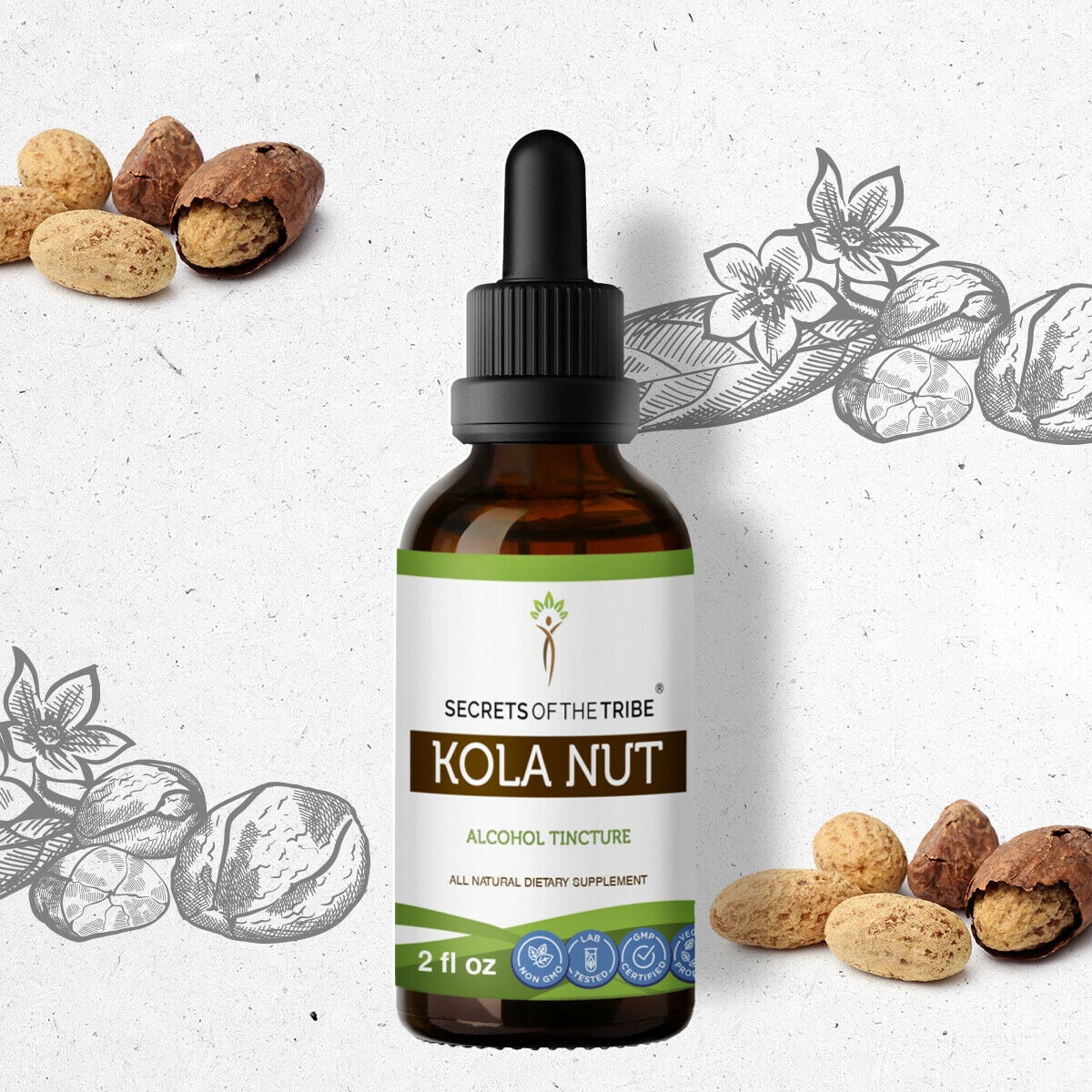 Kola Nut Tincture Alcohol Extract, Organic Kola nut (Cola Acuminate ...