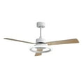 3 in 1 Ceiling Fans Light With Remote Control Light Chandelier LED 52 ...
