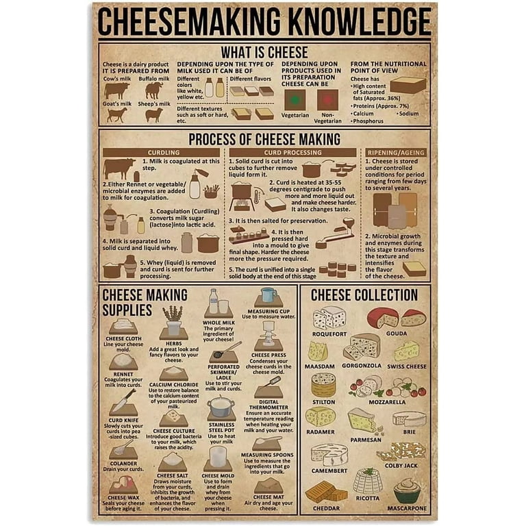 Cheese Infographic Poster