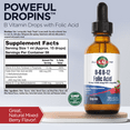 "Kal Vitamin B6, B12, Folic Acid DropIns, Cardiovascular Support, Mixed ...