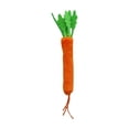 AuroraX Realistic Vegetable Pet Chew Toys Carrot Celery Cat Dog Toys ...