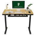 "FLEXISPOT Raising Workstation: 48""x24"" Black Home Office Bamboo Top ...