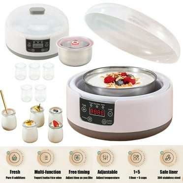 SKYVOKES Hung Curd Strainer Box Curd Maker and Greek Yogurt Maker ...