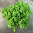 Artificial Green Moss Wall Decor, Usupdd Preserved Fake Flower Moss ...