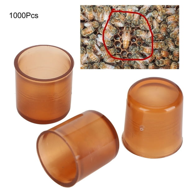 Light Weight Bee Queen Cell Cup, 1000Pcs Brown Bee Queen Cell Cup, Cell ...