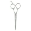 Stainless 2000 Hair Cutting Styling Shears, Sharp Trim Steel - Walmart.com