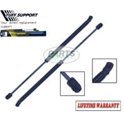 Dodge Grand Caravan Liftgate Lift Support