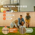 KFFKFF Reed Privacy Screen, 4x16.4 ft, Natural Reed Roll-Up Fence for ...