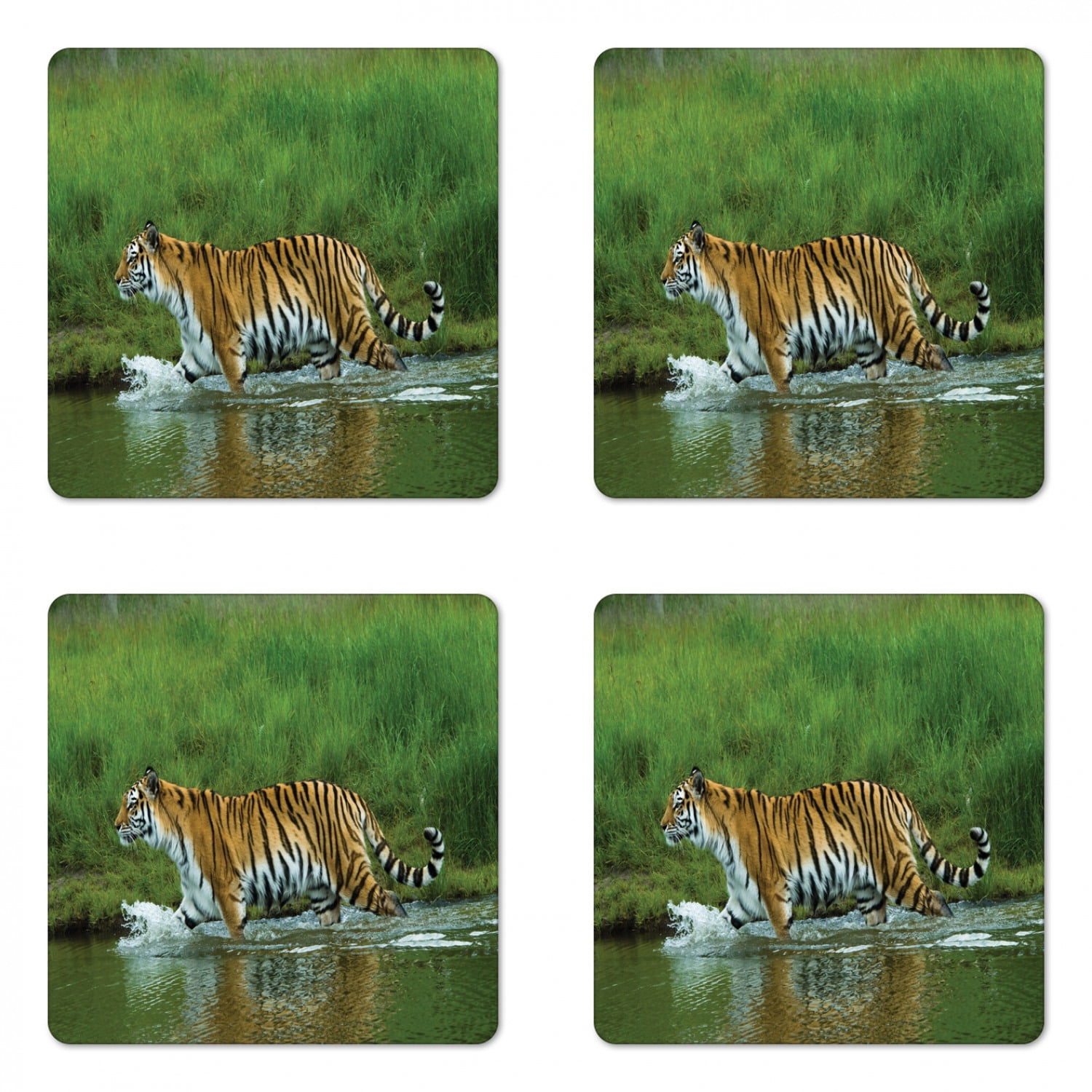 Safari Coaster Set of 4, Siberian Tiger Panthera Tigris Altaica in the ...