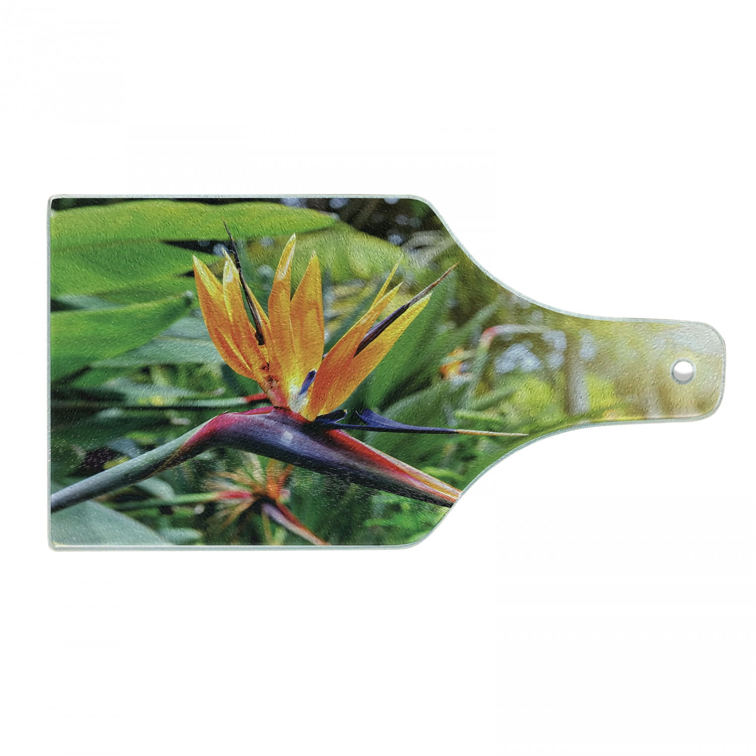 Plant Cutting Board, Close-up Image of Strelitzia Reginae Bird of ...