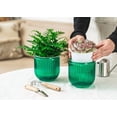 2 Pack Self Watering Hanging Planters Indoor Flower Pots, 5.3 Inch ...