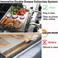"BBQ Griddle for Gas & Charcoal Grill, 17"" x 13"" with Removable Tray ...