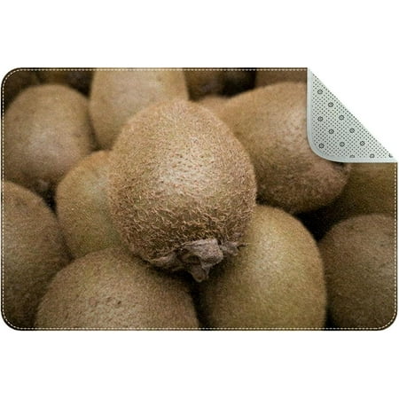 Kiwi Indoor Door Mat for Home Entrance Floor for House Decoration ...