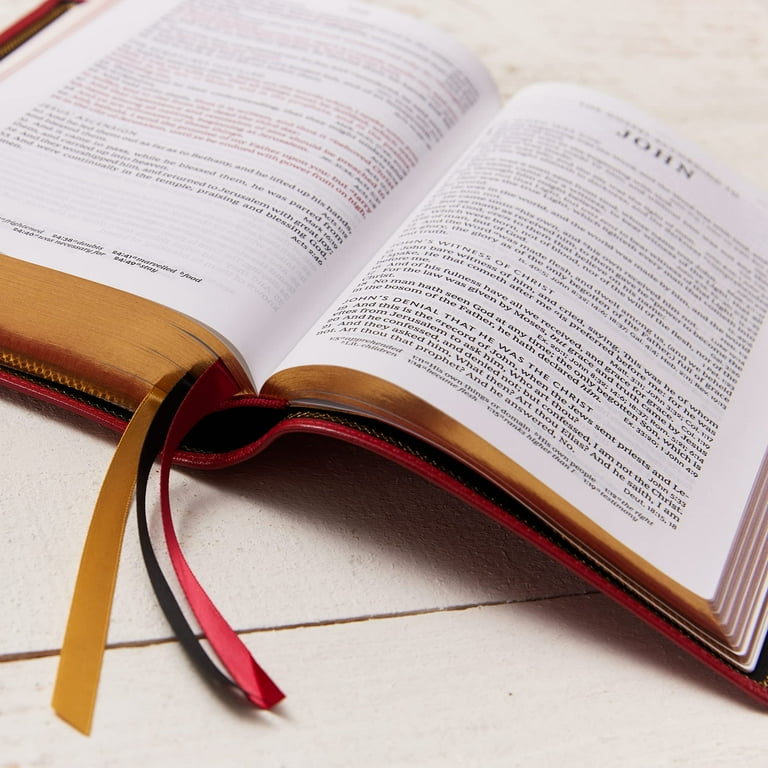 Open Holy Bible King James Version