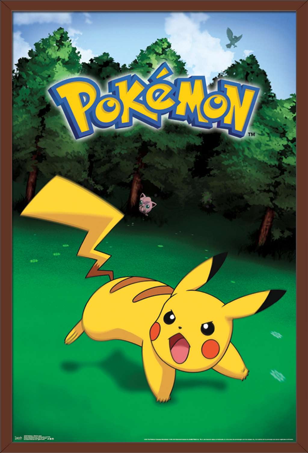 Pokémon - Pikachu Catch Poster - Walmart.com - Walmart.com