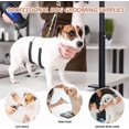 Dog Grooming Arm with Clamp, Adjustable Dog Grooming Table Arm with Two ...