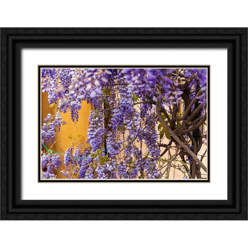 Wilson, Emily 24x17 Black Ornate Wood Framed with Double Matting Museum ...