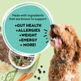 Happy Howl 100% Human-Grade Dog Food - Walmart.com