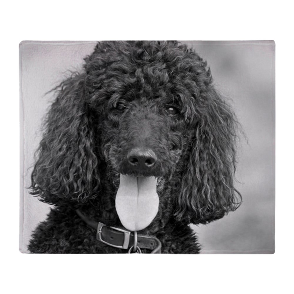 CafePress - Black Poodle Throw Blanket - Soft Fleece Throw Blanket, 50 ...