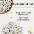Horticultural Bonsai Pumice Soil Additive (4 Quarts), 7LB Ideal ...