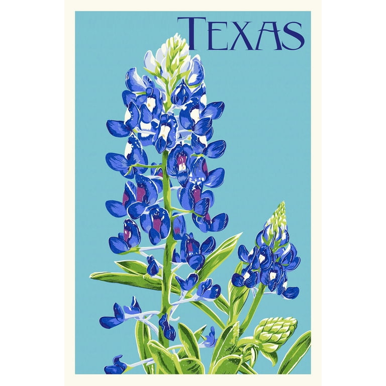 Bluebonnets I Can Print