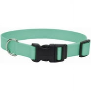Dogtra Extra Dog Collar Strap, Green, 3/4" x 32" - Walmart.com