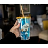 Avatar: The Last Airbender Aang and Appa Carnival Cup With Straw | 16 ...