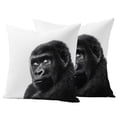 Black Monkey Modern Outdoor Waterproof Throw Pillow Covers 20x20 Set of ...