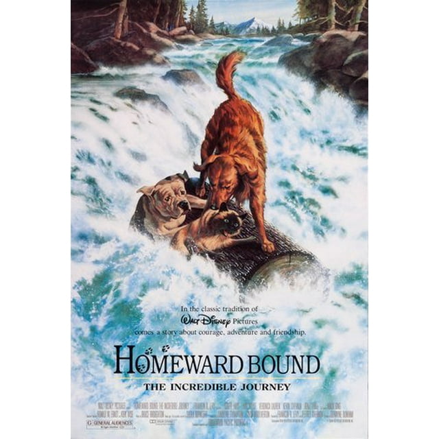 Homeward Bound Movie Poster 24Inx36In Poster 24x36 Multi-Color Square ...