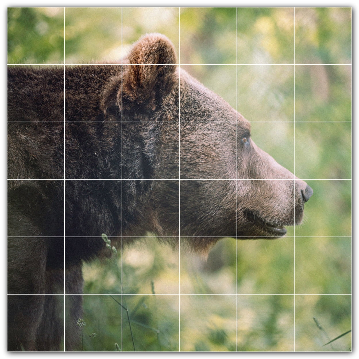 Picture-Tiles.com: Bear Ceramic Tile Wall Mural WAL500116-66XL. 72"W x ...