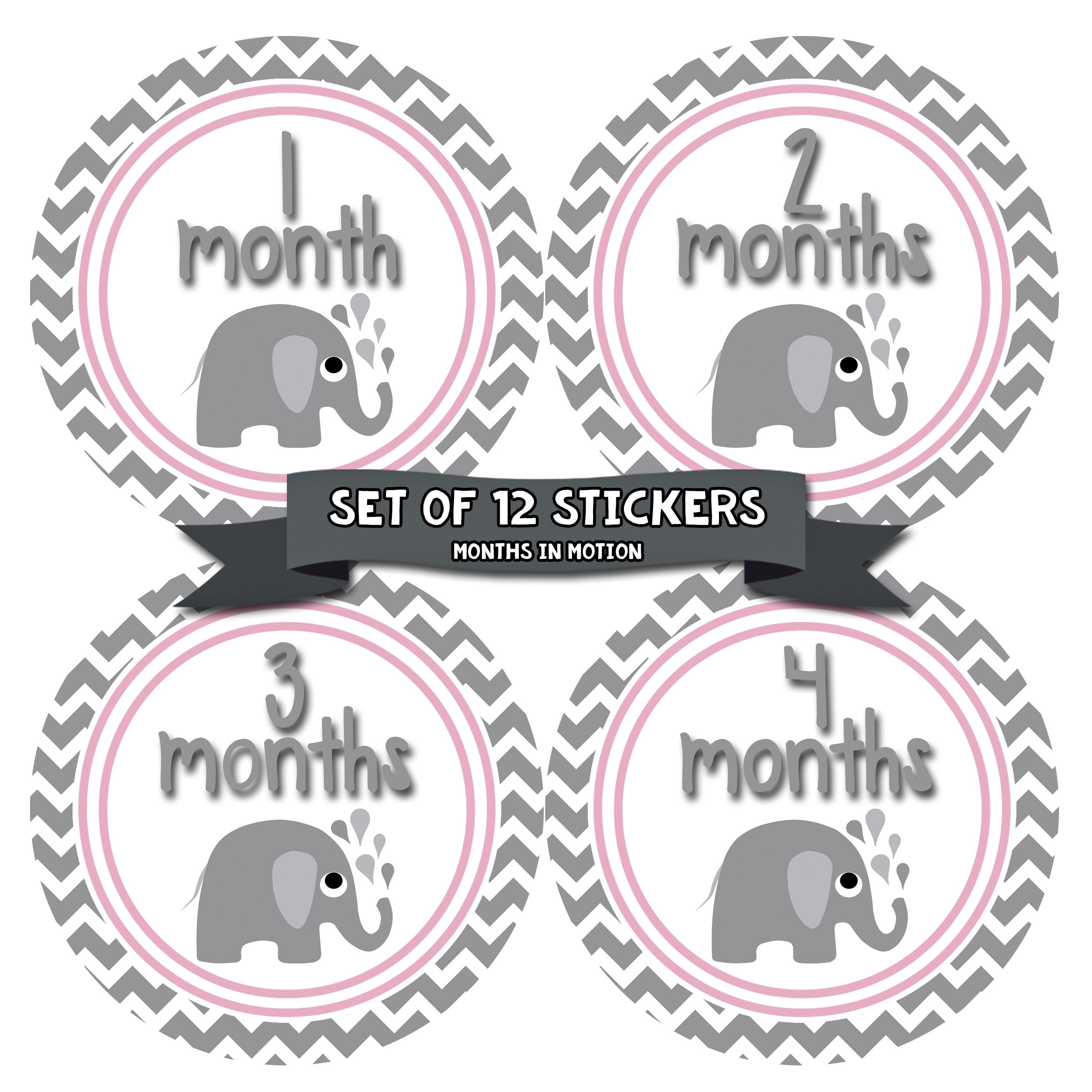 Months in Motion Monthly Baby Girl Milestone Stickers | Pink Grey ...