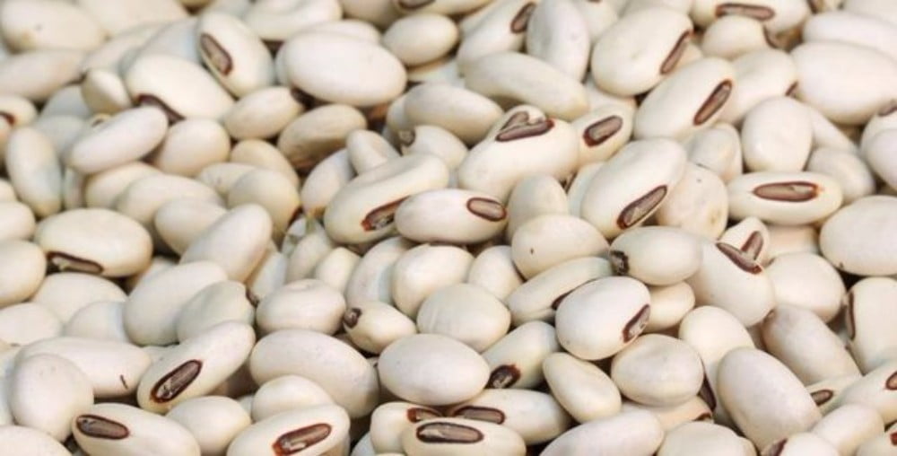 Navy Beans - Walmart.com