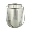 Rural365 Metal Milk Jug, 4 Liter (1 Gal) - Stainless Steel Milk Cans ...