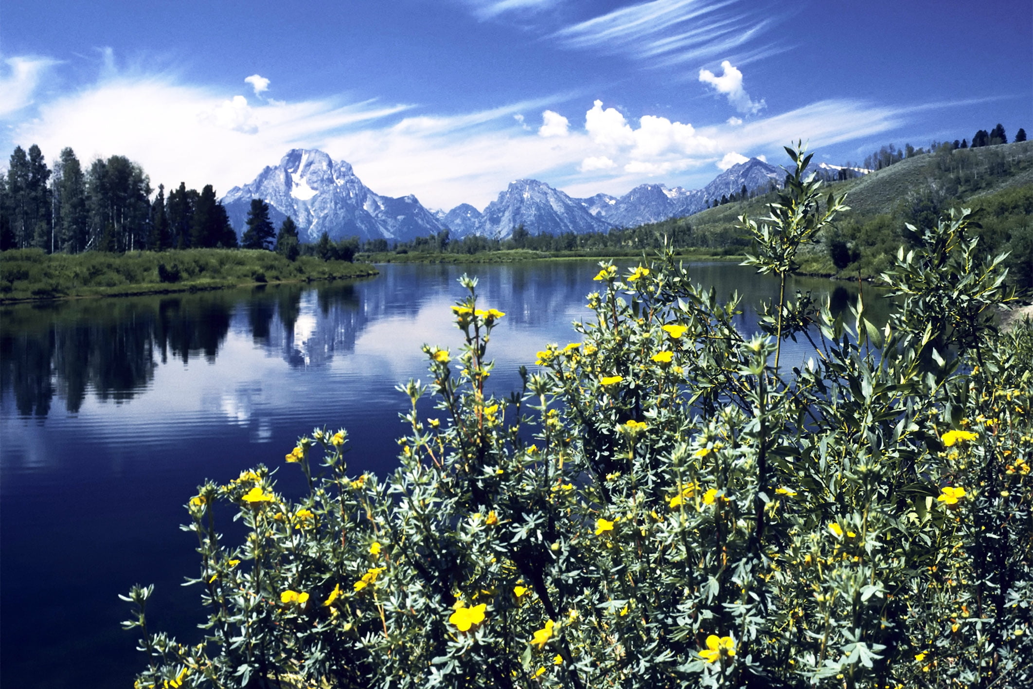 24x36 gallery poster, Oxbow Bend on the Snake River, Grand Teton ...