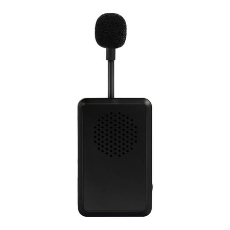 Voice Microphone Loudspeaker Voice Rechargeable | Walmart Canada