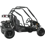 Coleman Powersports GK200 196cc Gas Powered Go-Kart, Two-Seater Off ...