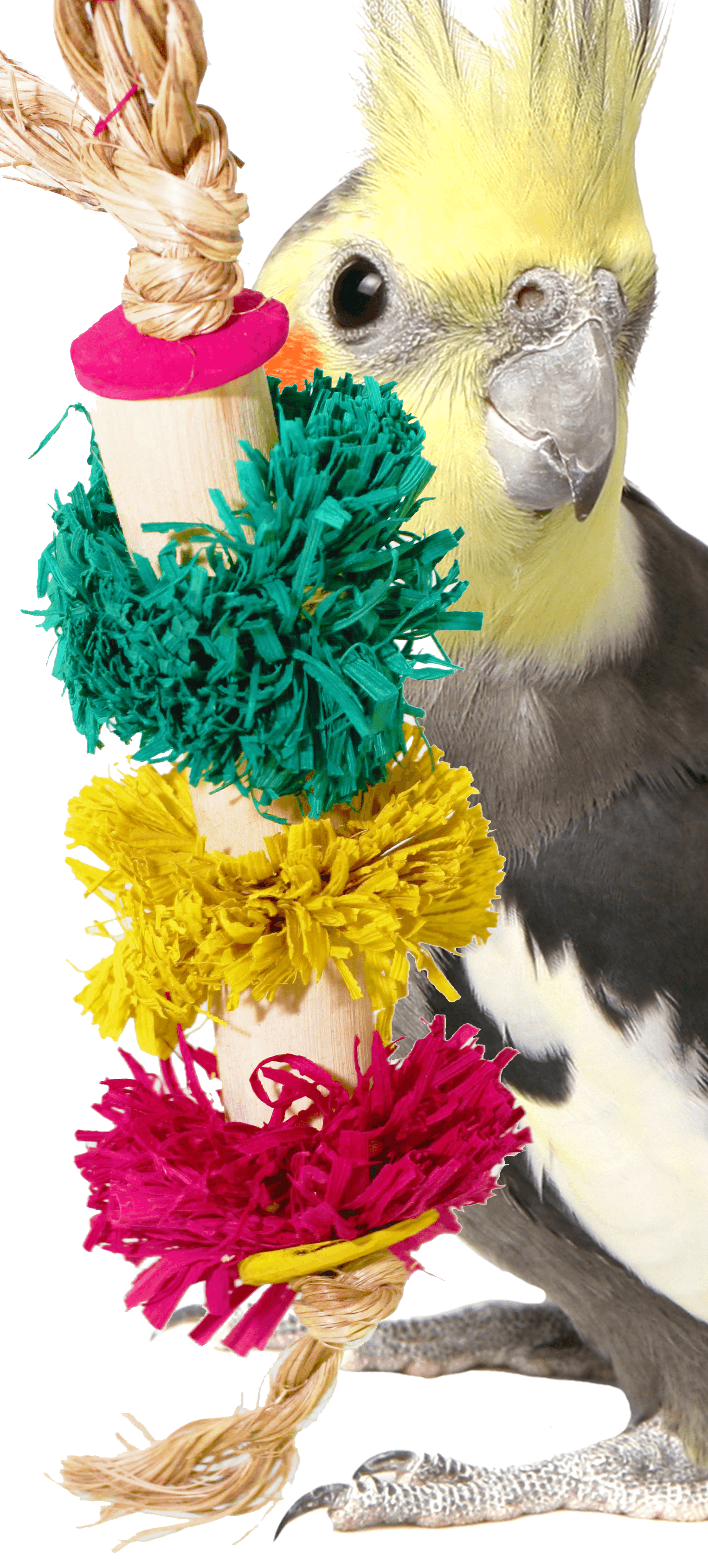 41344 Small Fuzzy Fun Bird Toy - Walmart.com