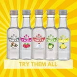 Taaka Vodka, 1.75l Plastic Bottle 80 Proof - Walmart.com