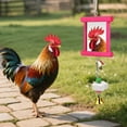 Chicken Toy 2Pcs Chicken Molar Stone Enrichment Coop Enrichment Pecking ...