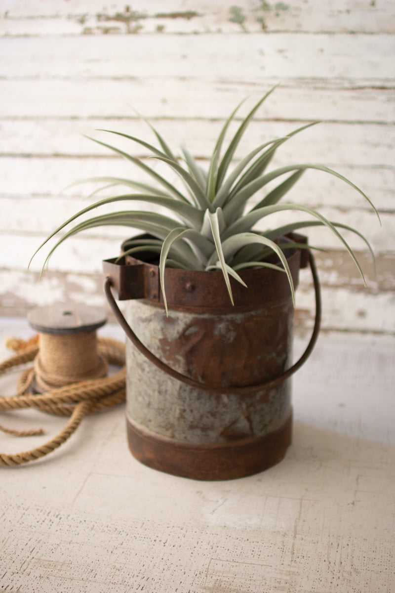 Antique Galvanized and Steel Water Bucket with Handle - Walmart.com