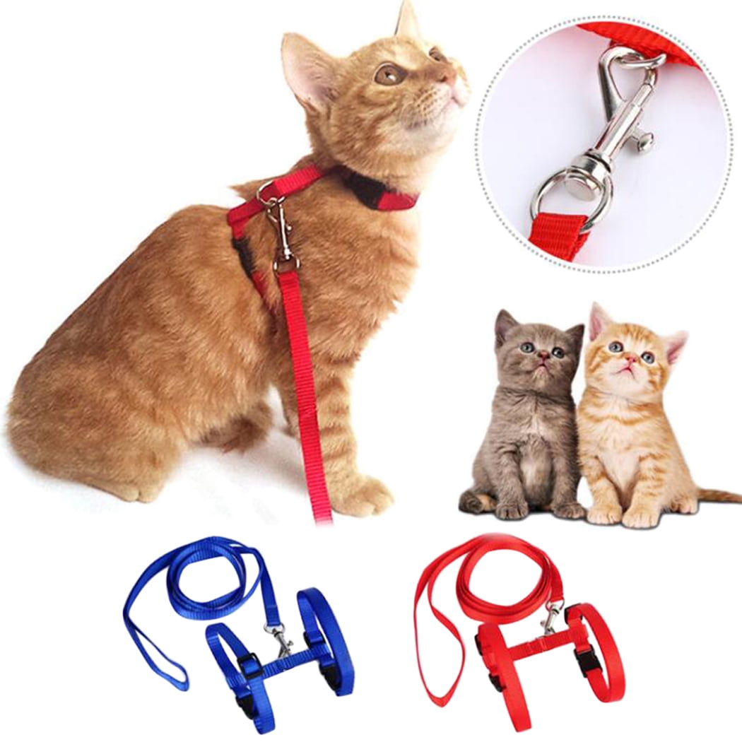Click here for Nobrand 2 Sets Pet Leashes Harnesses Adjustable He... prices