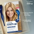 Clairol Root Touch-Up Nice'n Easy Permanent Hair Coloring Supplies ...