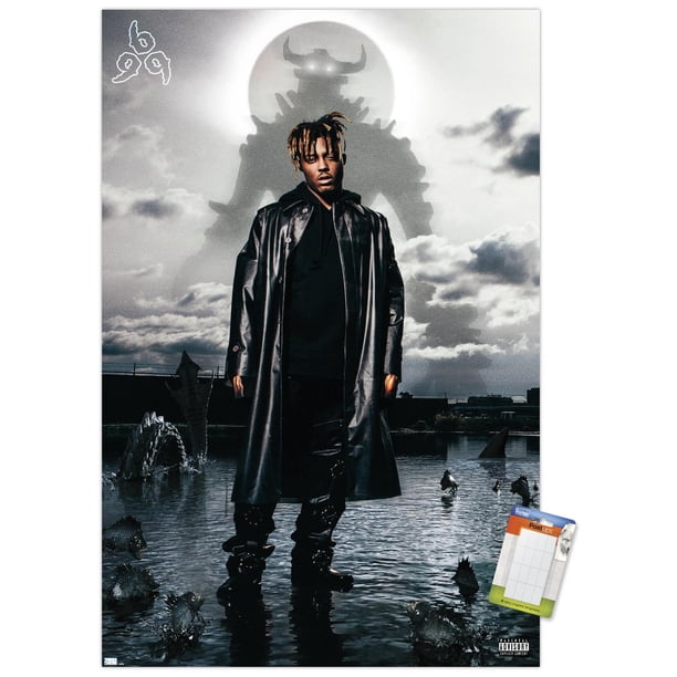 Juice WRLD - Fighting Demons Album Cover Wall Poster, 22.375" x 34 ...