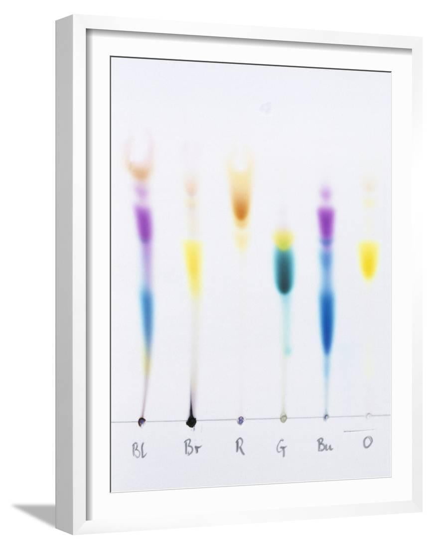 Paper Chromatography, Framed Art Print Wall Art by Andrew Lambert Sold ...